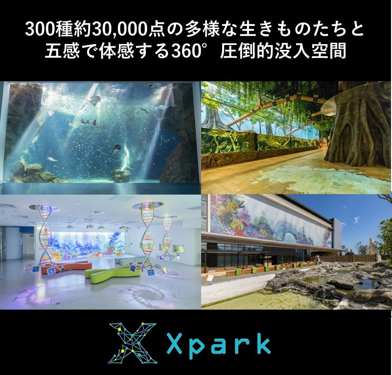 Xpark │ Japanese